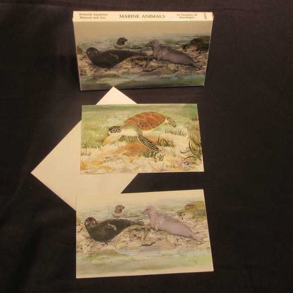 Office | Marine Animals Note Cards 1 Blank Inside Tg | Poshmark